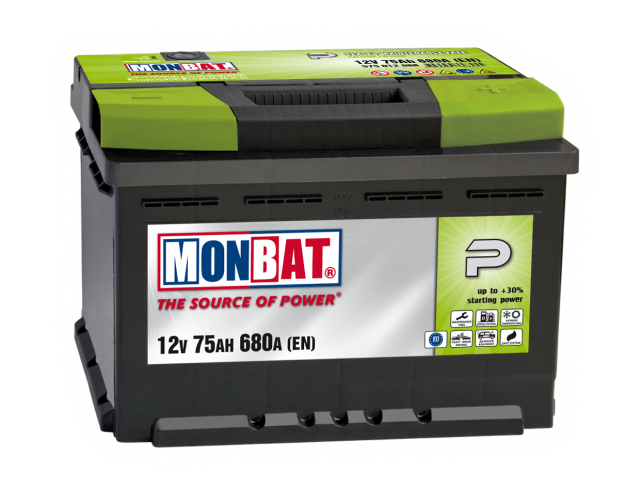 Starter Batteries (Cars)